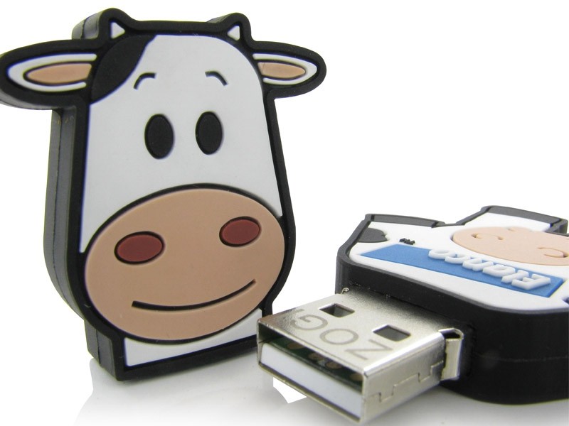 USB Stick Individual 2D